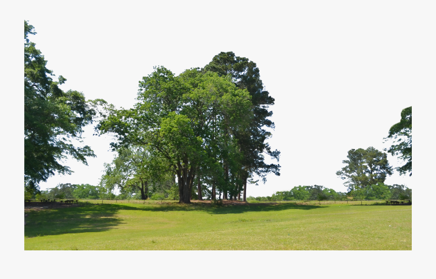 Transparent Park Background Clipart , Free Transparent Clipart - ClipartKey