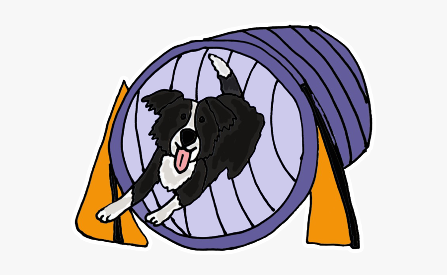 Border Collie Agility Cartoon , Free Transparent Clipart - ClipartKey