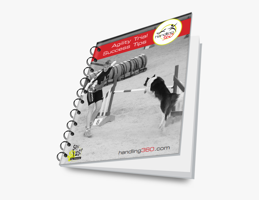 Dog Agility , Free Transparent Clipart - ClipartKey