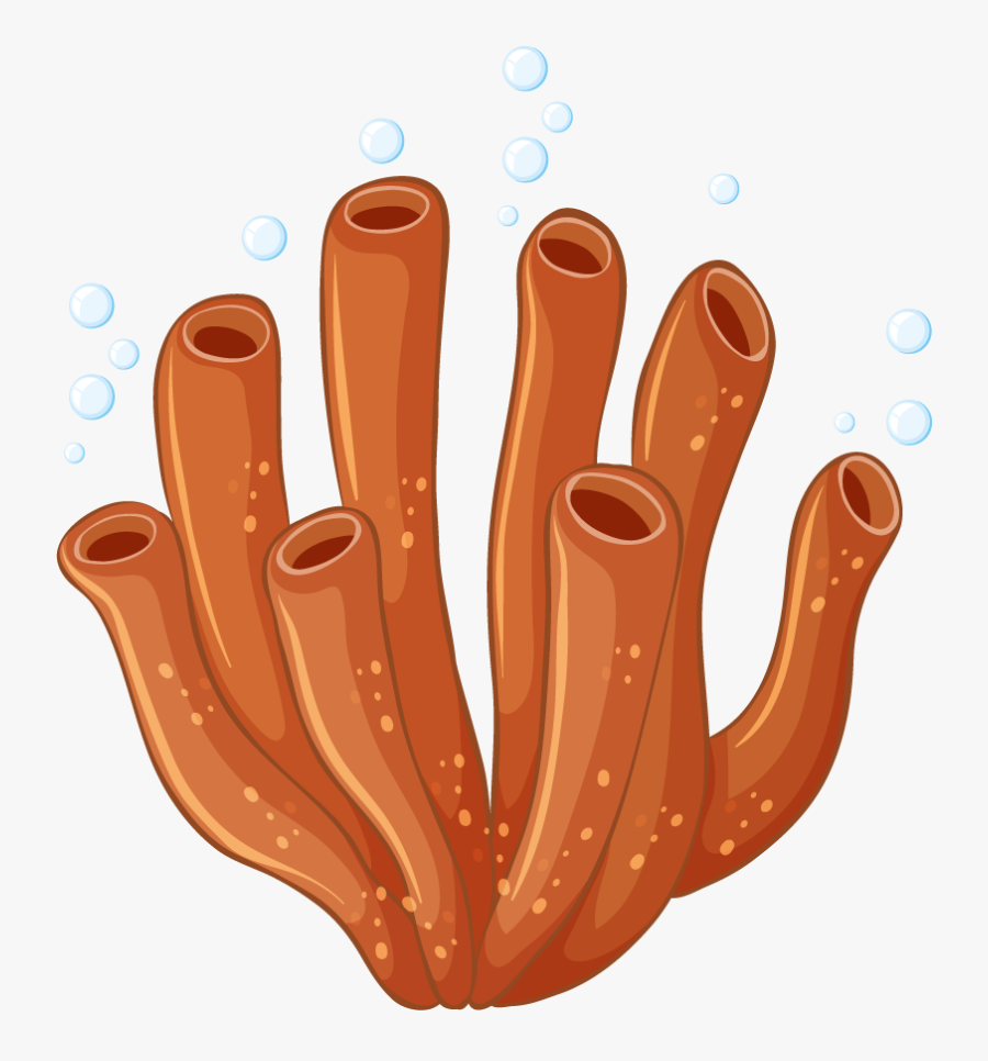 Aquarium Maintenance Plans - Coral Reef To Cut Out , Free Transparent ...