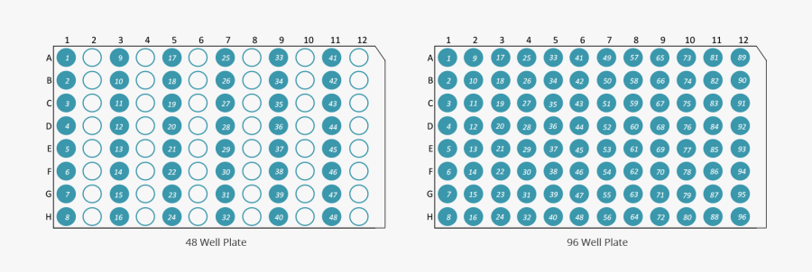 Transparent 96 Well Plate Clipart - Hyperspectral Imaging In Pharma ...