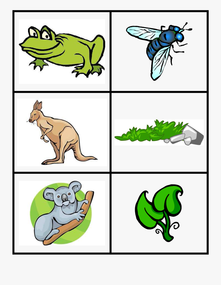 Big Wide Mouthed Frog , Free Transparent Clipart - ClipartKey