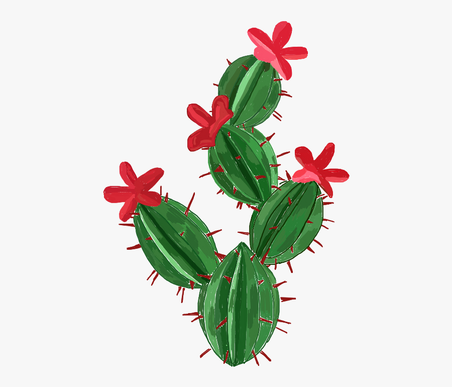 Transparent Nopal Png - Cactus Arts And Crafts , Free Transparent ...