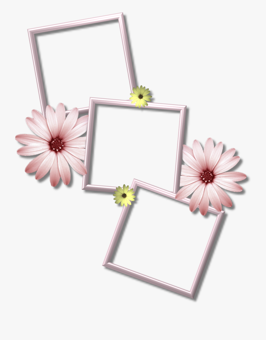 Collage Frame Png Transparent Images - Multiple Photo Frame Png , Free ...