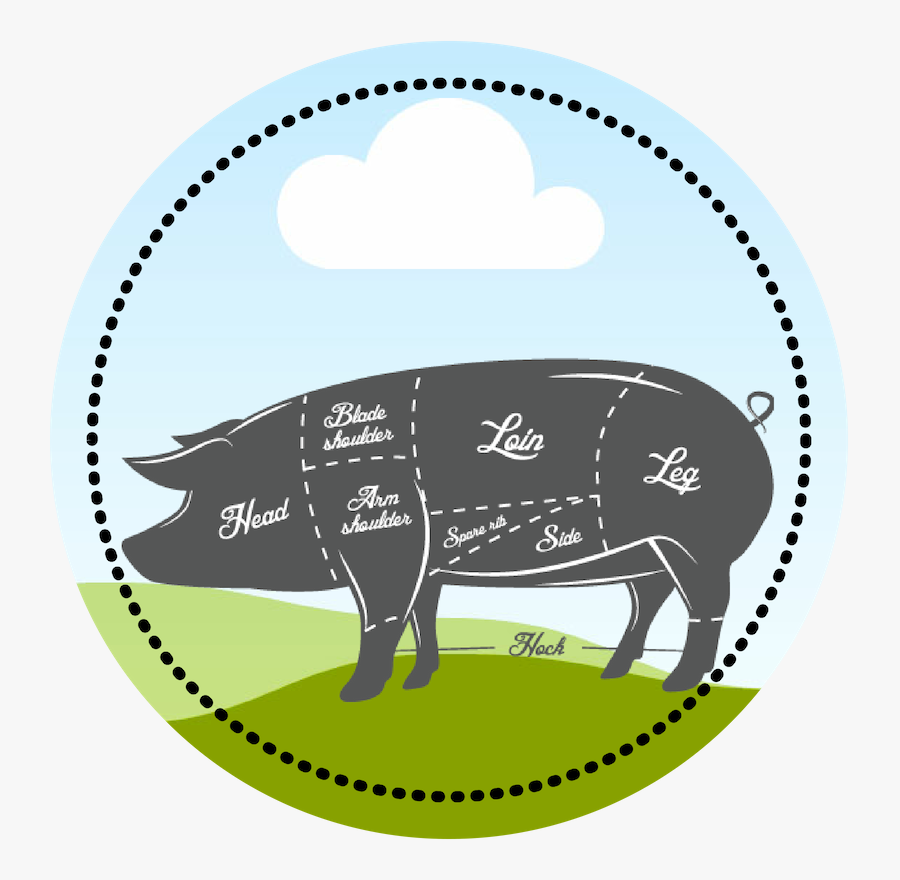 Pig Circle - Illustration , Free Transparent Clipart - ClipartKey