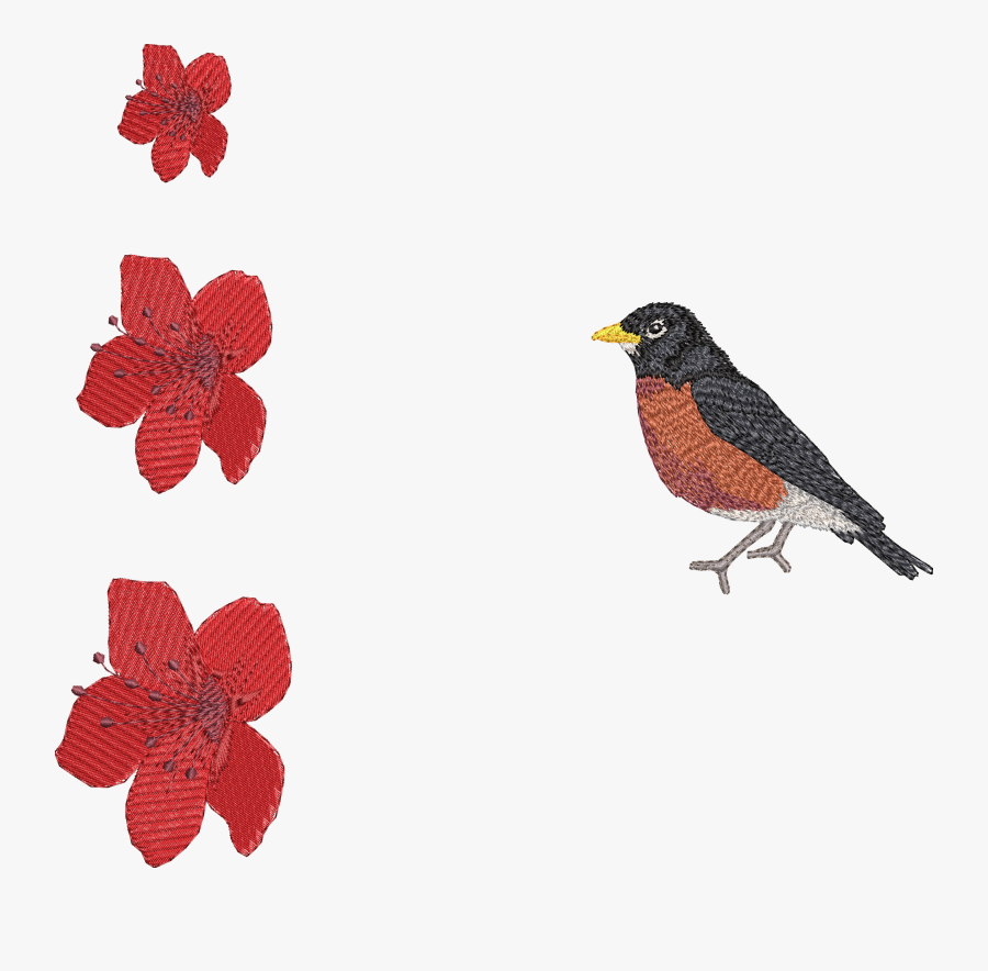 Image4 - Robin , Free Transparent Clipart - ClipartKey