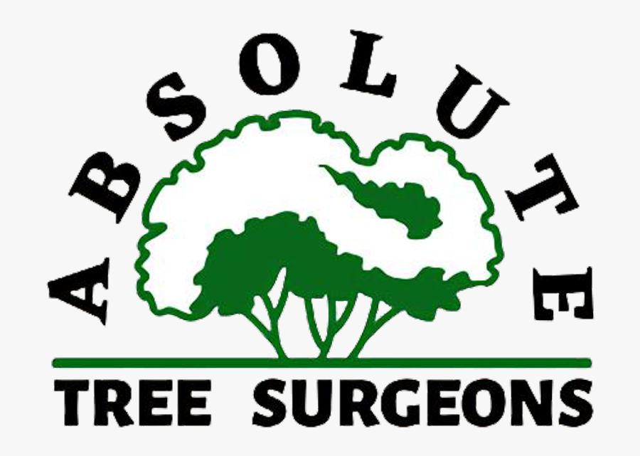 Absolute Tree Service , Free Transparent Clipart - ClipartKey