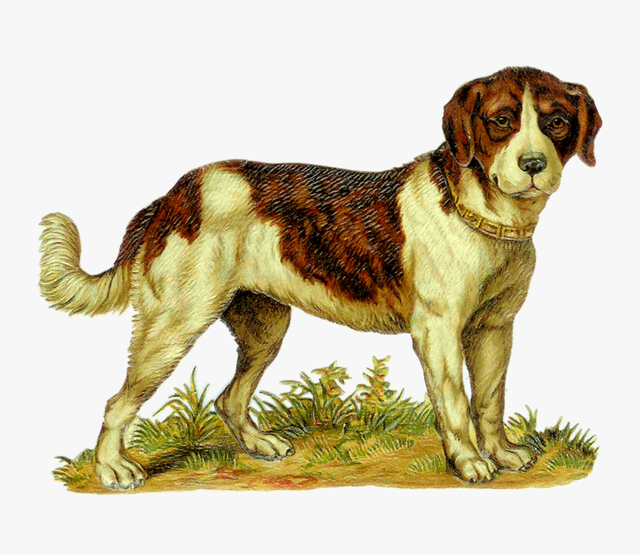 Hound Dog Clip Art , Free Transparent Clipart - ClipartKey