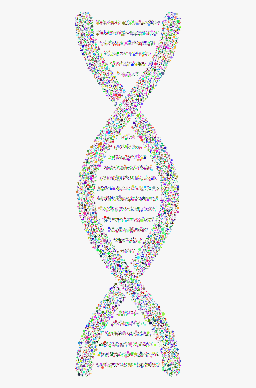 Dna Helix Circles Free Picture - Dna , Free Transparent Clipart ...