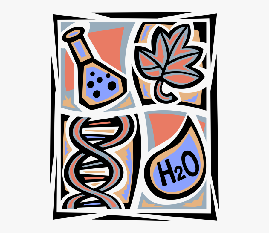 Vector Illustration Of Healthy Ecosystem With Leaf, , Free Transparent ...