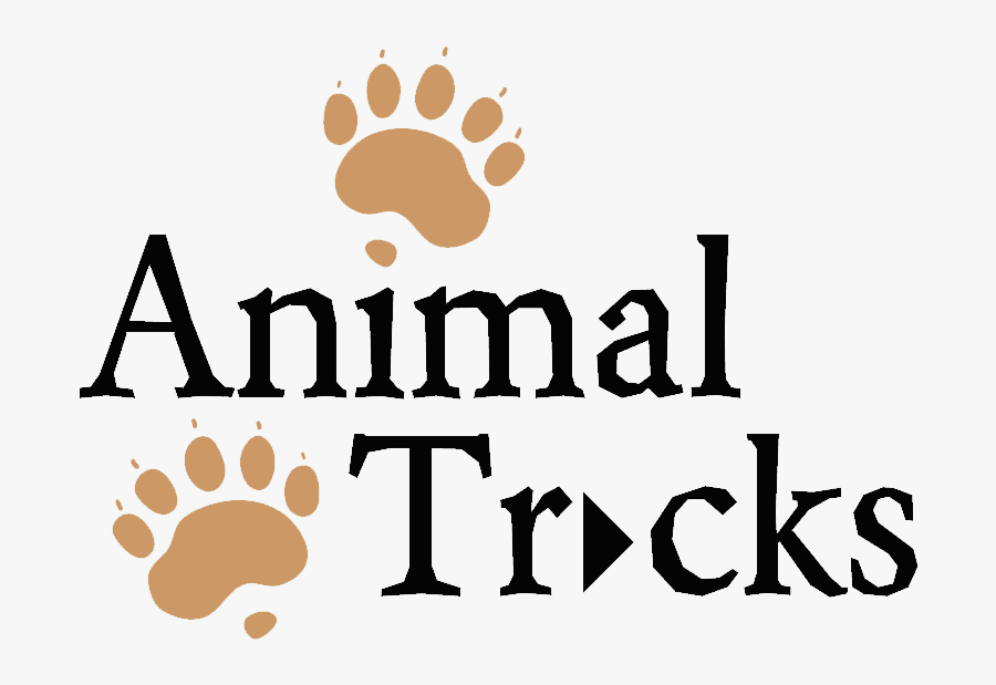 Animal Tracks , Free Transparent Clipart - ClipartKey