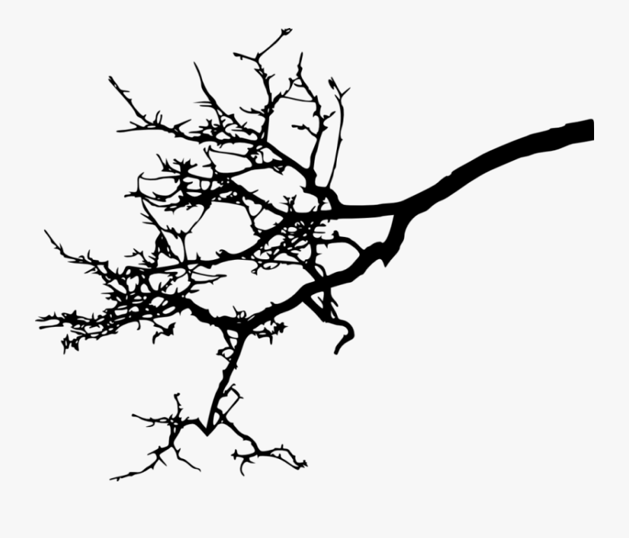 Twig Branch Clip Art - Branches Silhouette Tree Free , Free Transparent ...