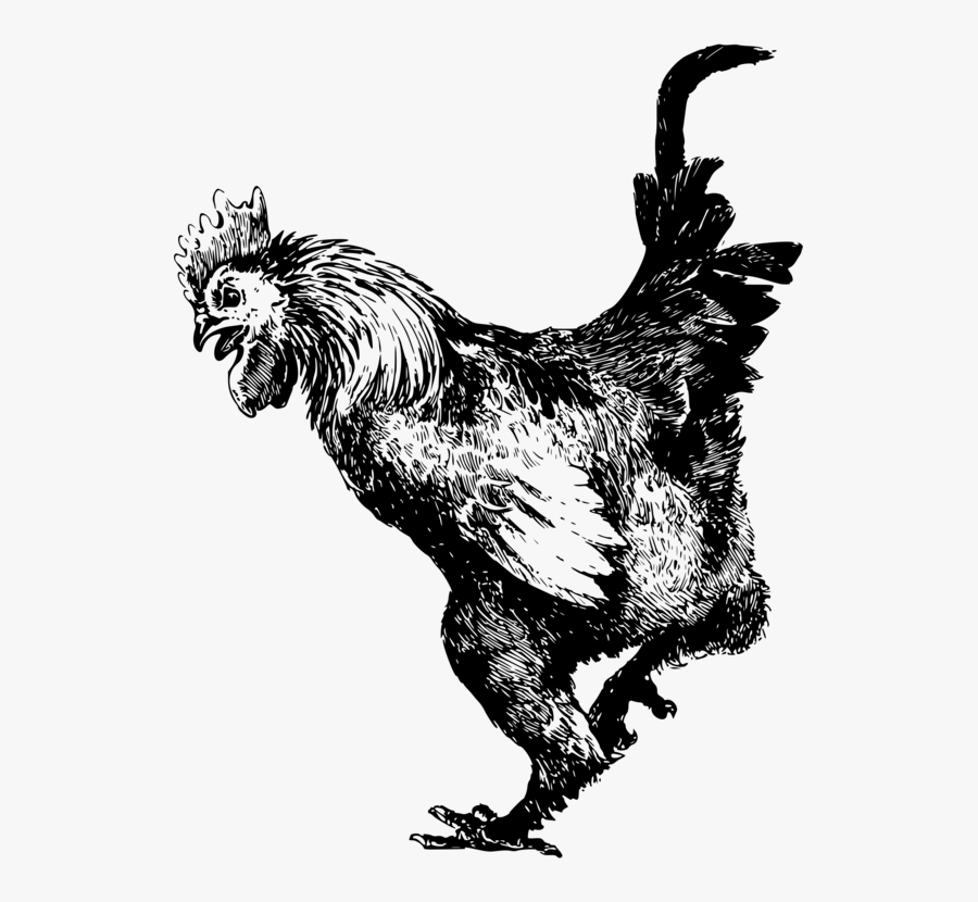 Transparent Bantam Chicken Clipart - Rooster , Free Transparent Clipart ...