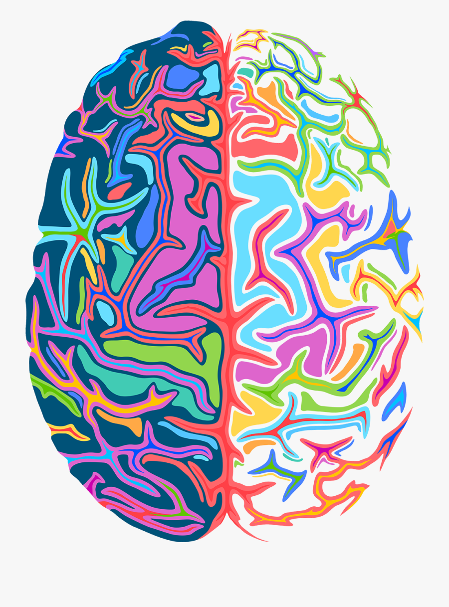 Psychedelic Brain - Stages Of Brain Fingerprinting , Free Transparent ...