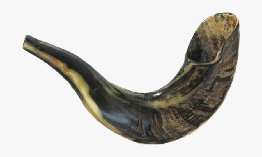 Shofar Png Transparent Picture - Shofar , Free Transparent Clipart ...