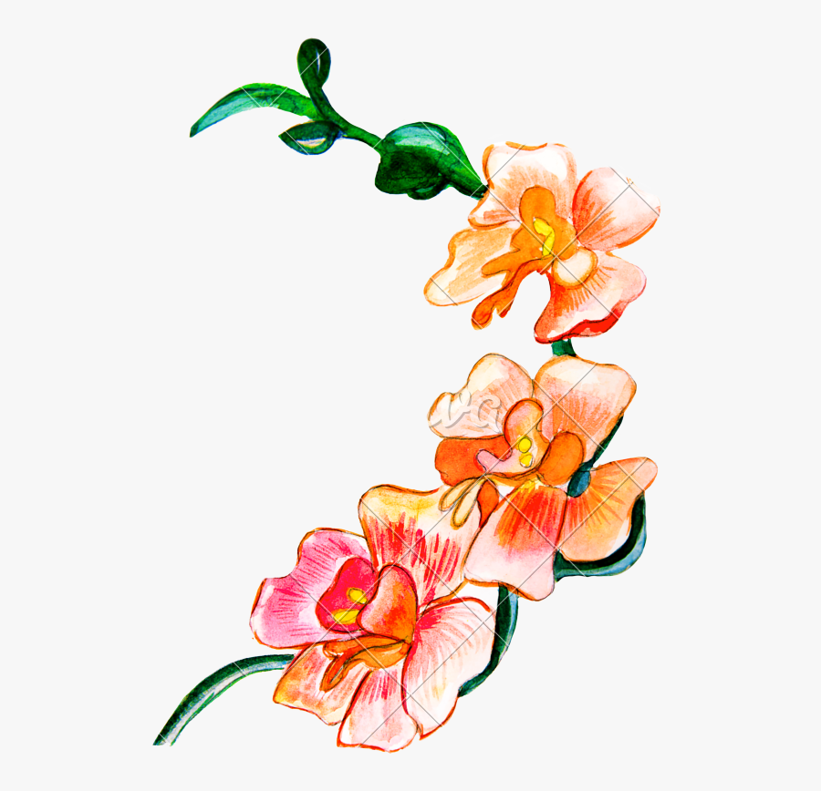 Flowers Painted With Watercolors - Pitch Colour Flower Png , Free ...