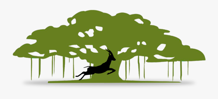 Logo Banyan Tree Symbol , Free Transparent Clipart - ClipartKey