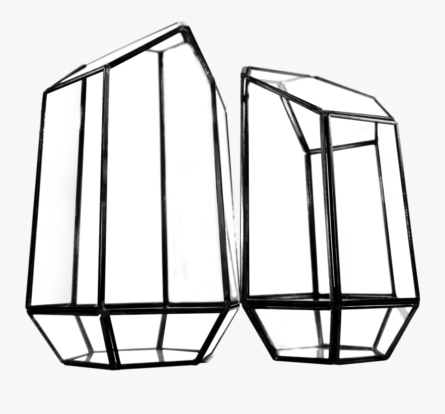 Terrarium Drawing Clipart - Sketch , Free Transparent Clipart - ClipartKey