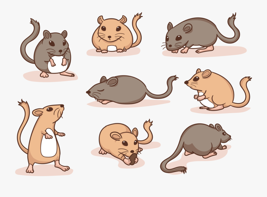 Gerbil Cartoon , Free Transparent Clipart - ClipartKey