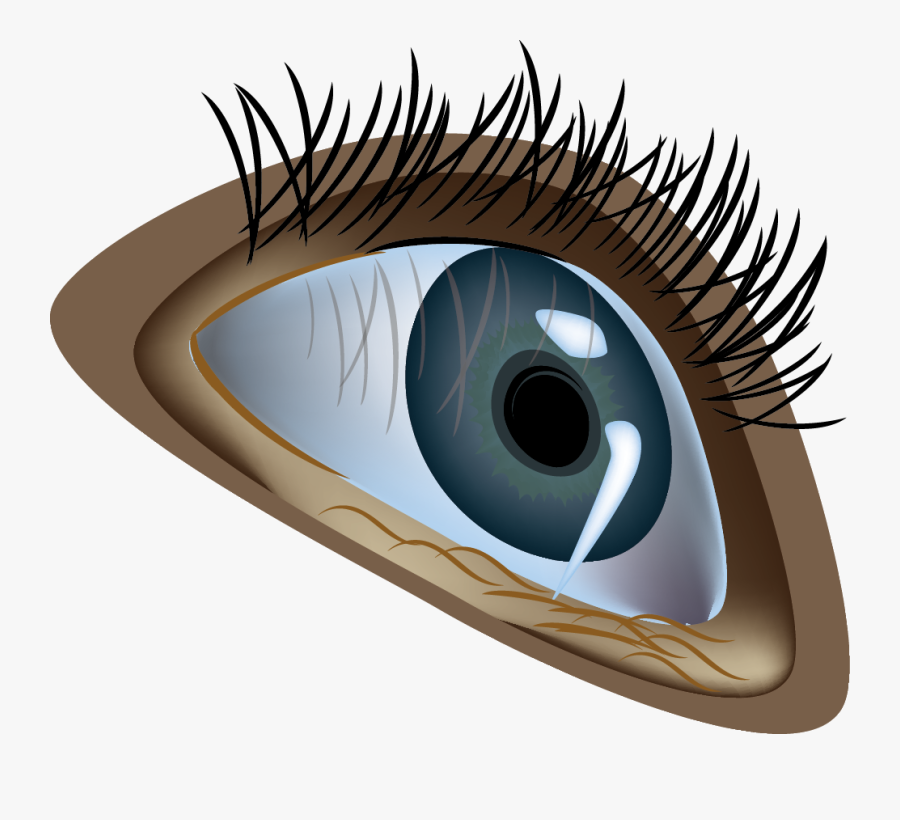 Transparent Human Eye Png - Ojo Humano Animado Png , Free Transparent ...