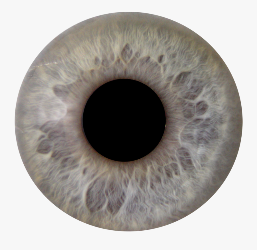 Eyes Clipart Human Eye - Eye Color Png , Free Transparent Clipart ...