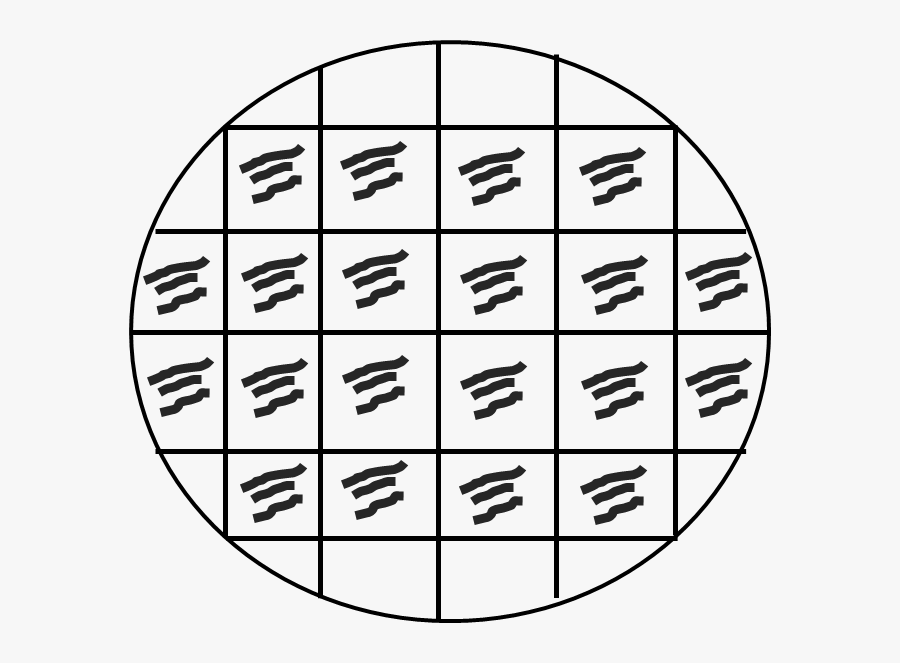 Patch Plates And Colony Pcr , Free Transparent Clipart - ClipartKey