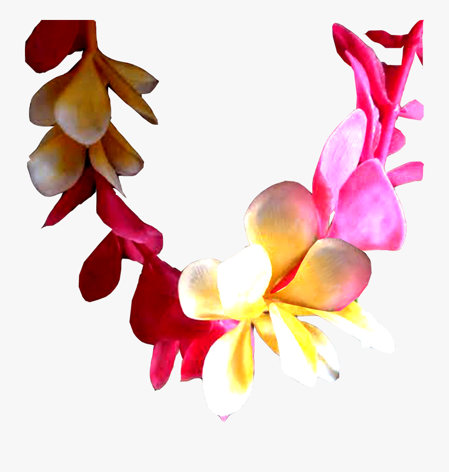 Hawaiian Lei Clipart , Free Transparent Clipart - ClipartKey