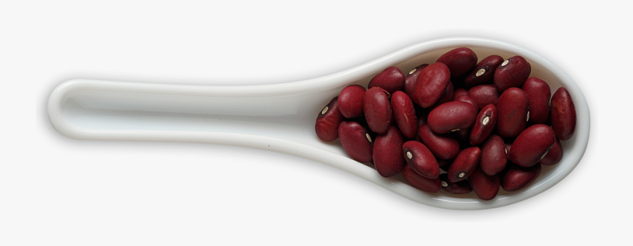 Azuki Bean Png , Free Transparent Clipart - ClipartKey