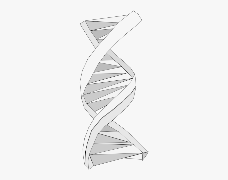 Line,angle,rectangle - Dna Ellipse , Free Transparent Clipart - ClipartKey