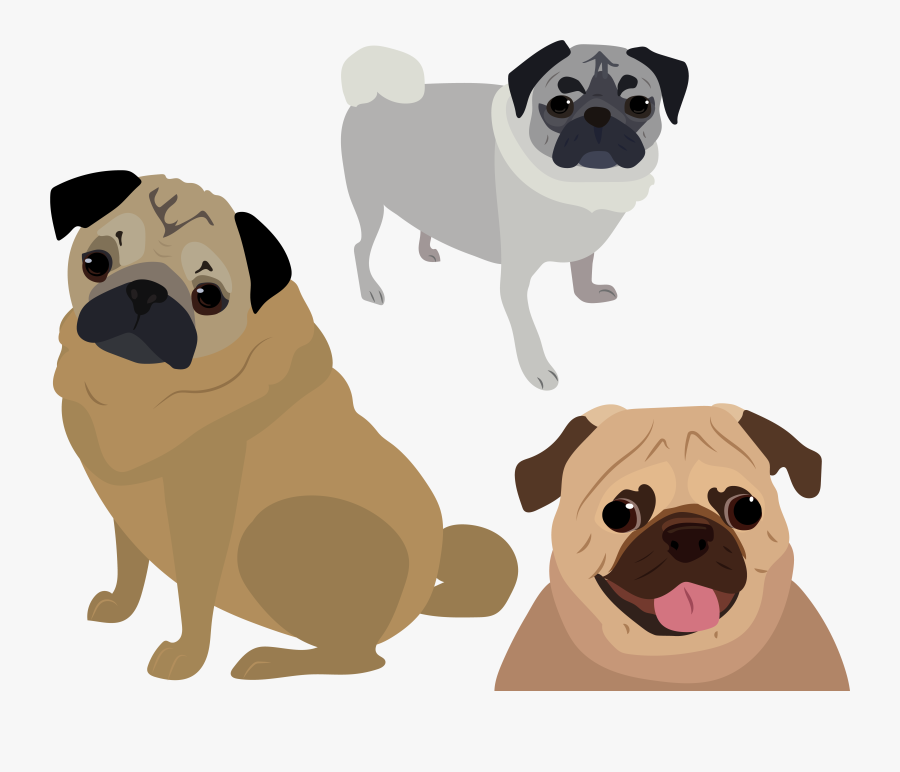 Pug Vector - Pug , Free Transparent Clipart - ClipartKey