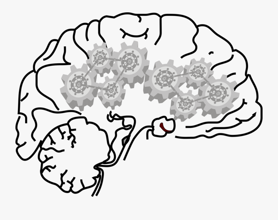 Gear Brain - Nervous System , Free Transparent Clipart - ClipartKey