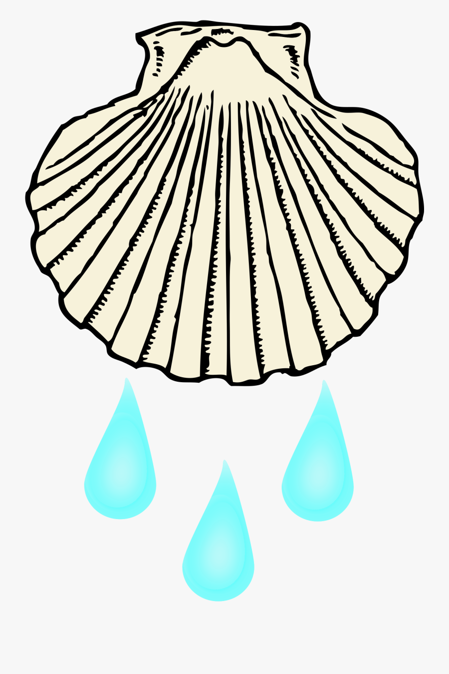 Clip Art Baptismal Shell Clip Art - Shell Clipart Black And White ...
