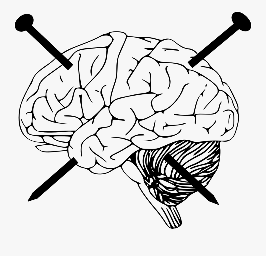 Transparent Thinking Brain Clipart - Transparent Background Brain ...