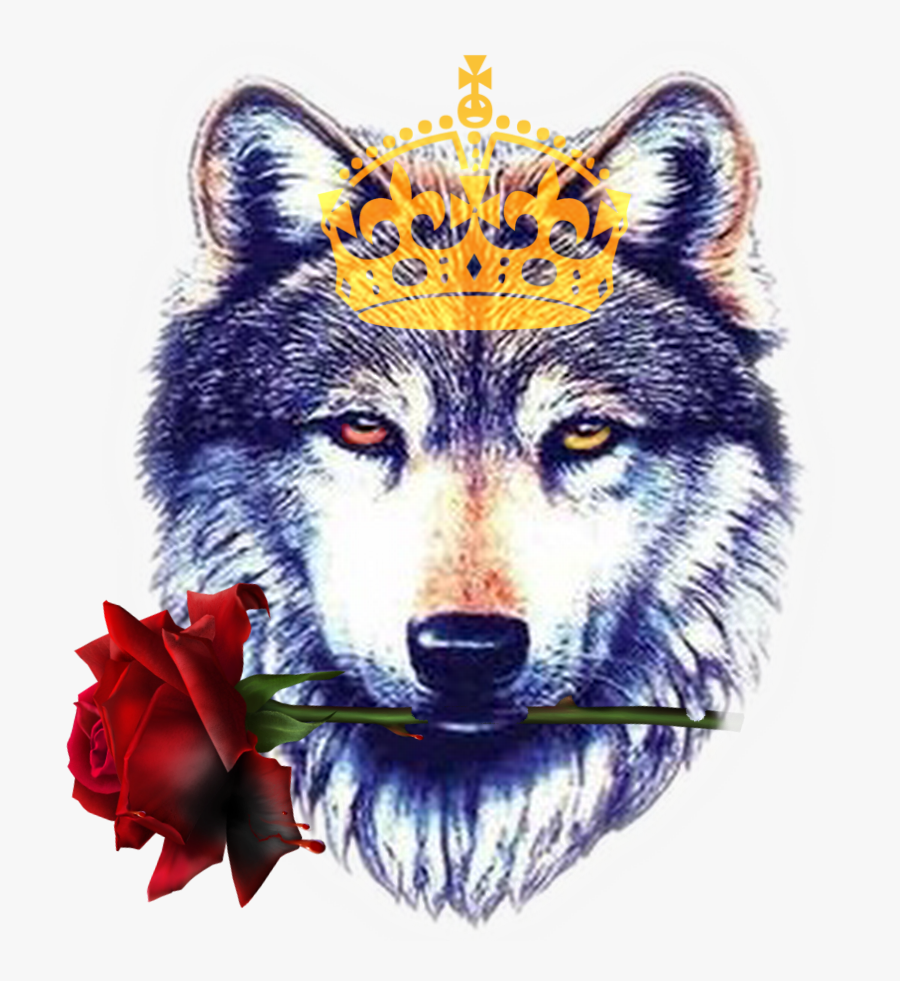 Wolf Face Transparent Png , Free Transparent Clipart - ClipartKey