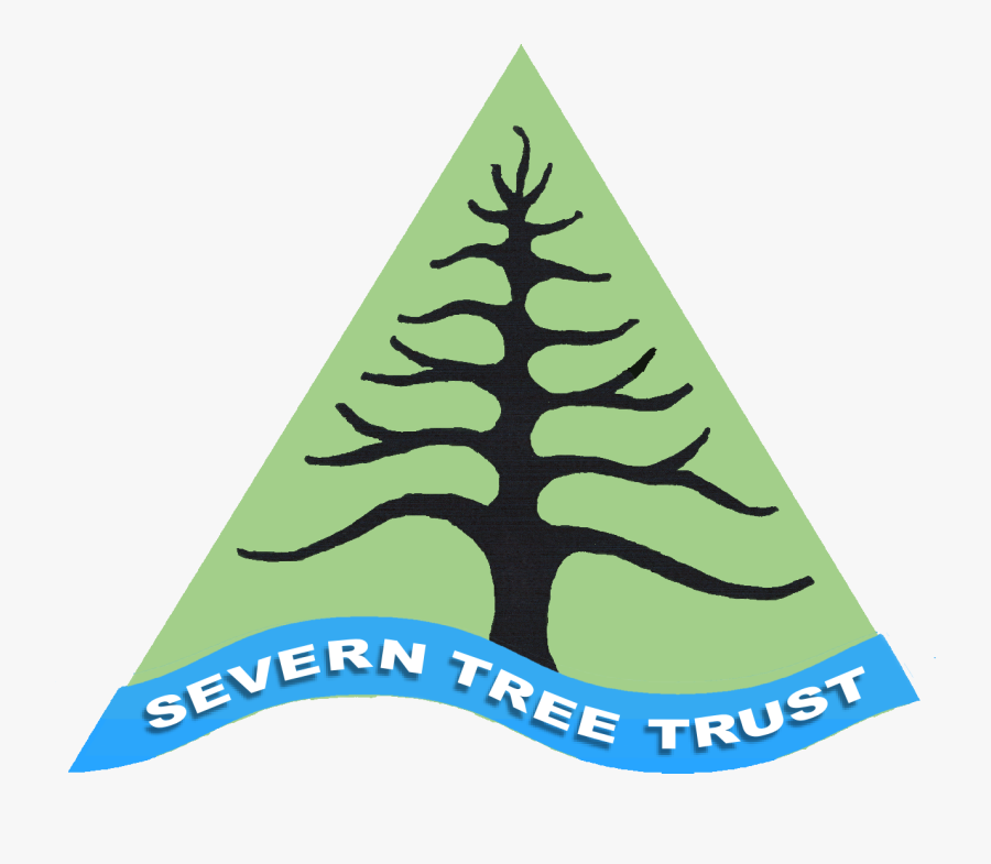 Sttlogo - Christmas Tree , Free Transparent Clipart - ClipartKey
