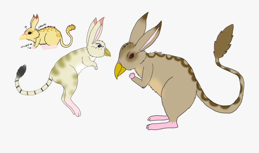 Clip Art Shelled Omnivore - Cartoon , Free Transparent Clipart - ClipartKey