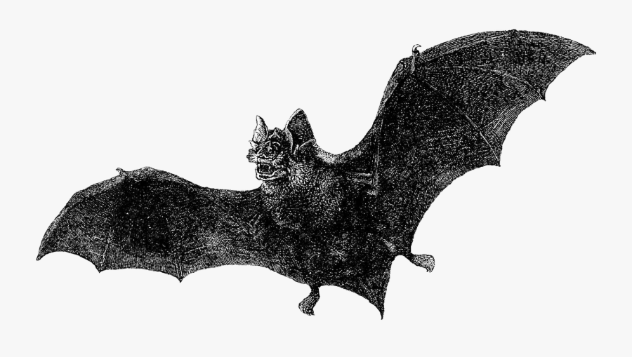 Vintage Horror Transparent Background , Free Transparent Clipart ...