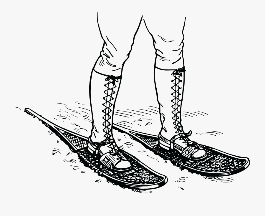 Wear Boots - Snowshoe Drawing , Free Transparent Clipart - ClipartKey