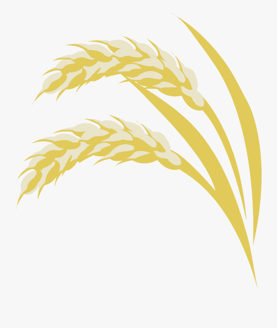 Transparent Rice Plant Png - Illustration , Free Transparent Clipart ...