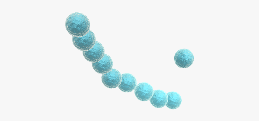 Diasorin Molecular Simplexa® Group A Strep Direct Kit - Streptococcus ...