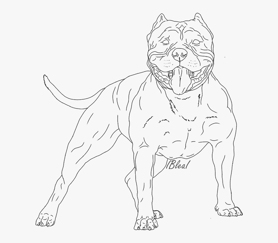 Lineart Of A Bully - Line Art , Free Transparent Clipart - ClipartKey