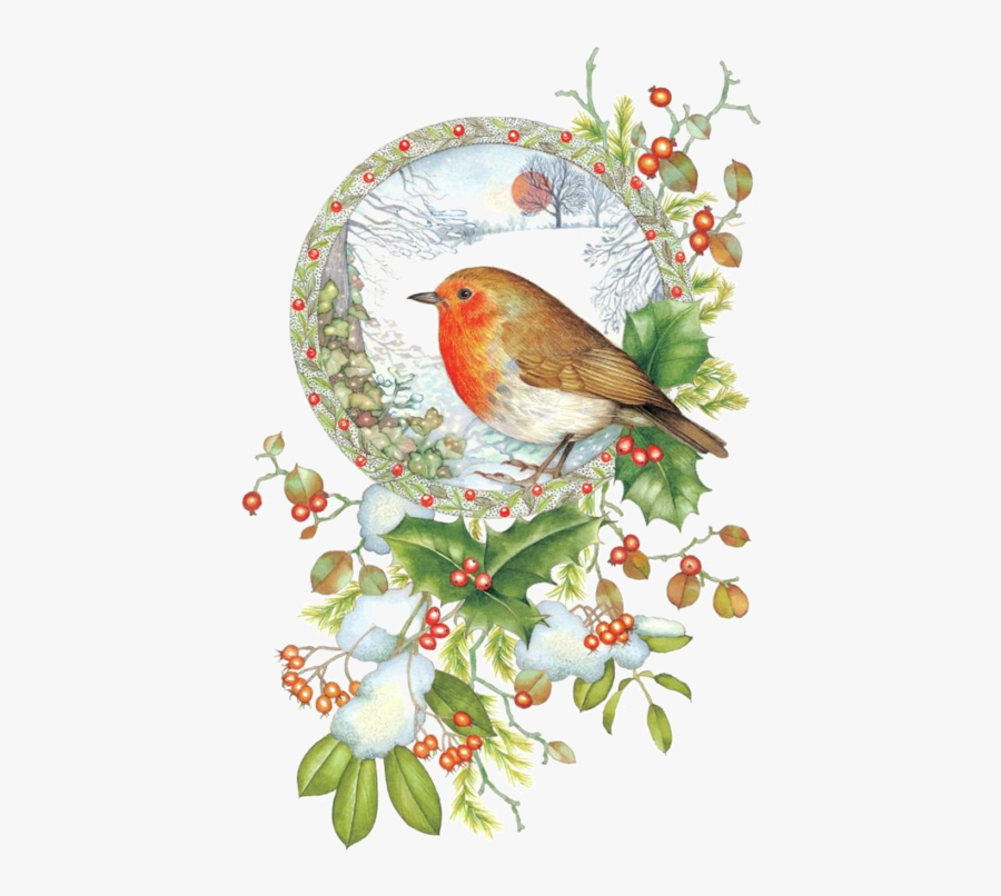 Clip Art Bird Christmas Cards - Robin Redbreast Christmas , Free ...
