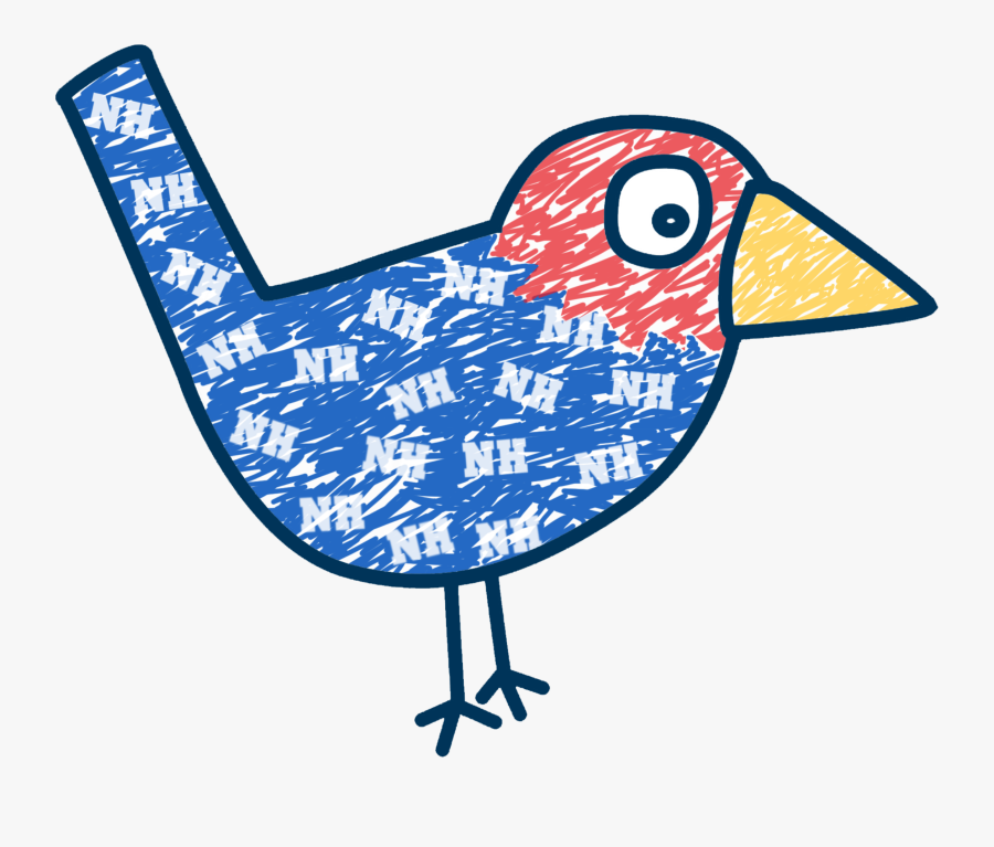 Piciformes , Free Transparent Clipart - ClipartKey