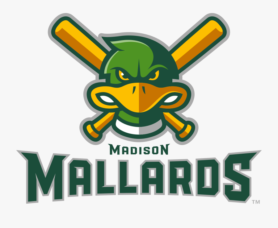 Madison Mallards Logo , Free Transparent Clipart - ClipartKey