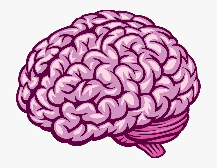 Transparent Human Brain Png - Royalty Free Brain Vector , Free ...