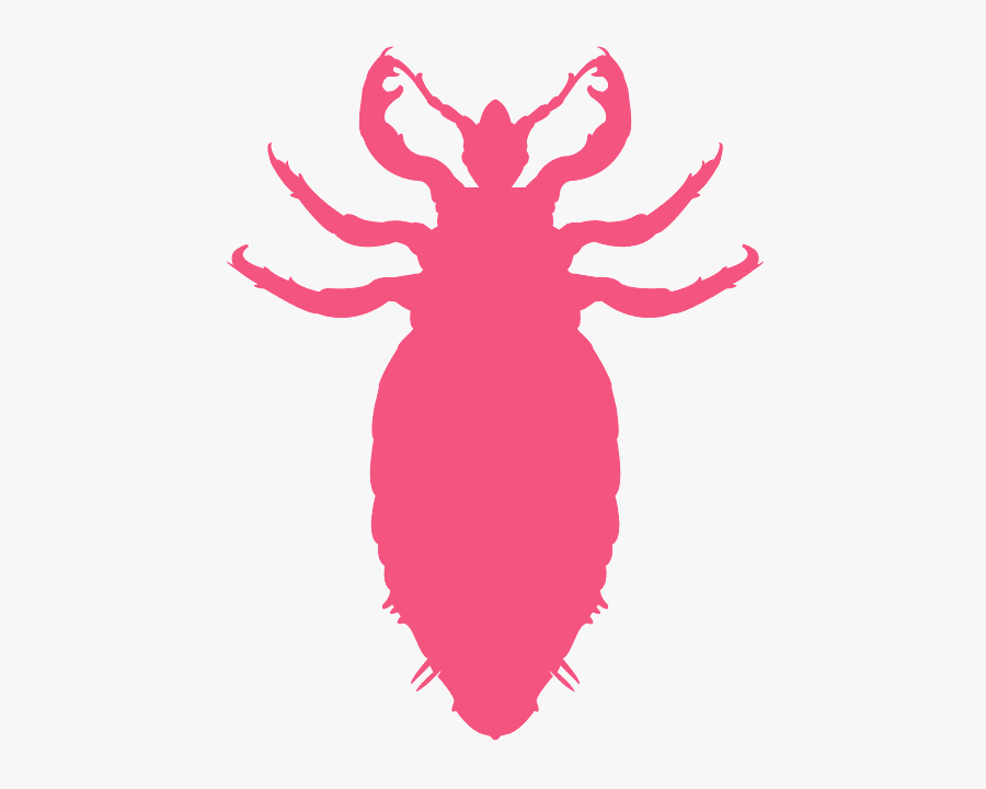Lice Icon , Free Transparent Clipart - ClipartKey