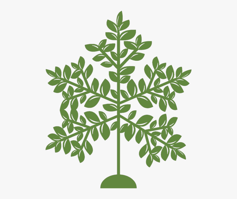 Grow Strong Trees , Free Transparent Clipart - ClipartKey