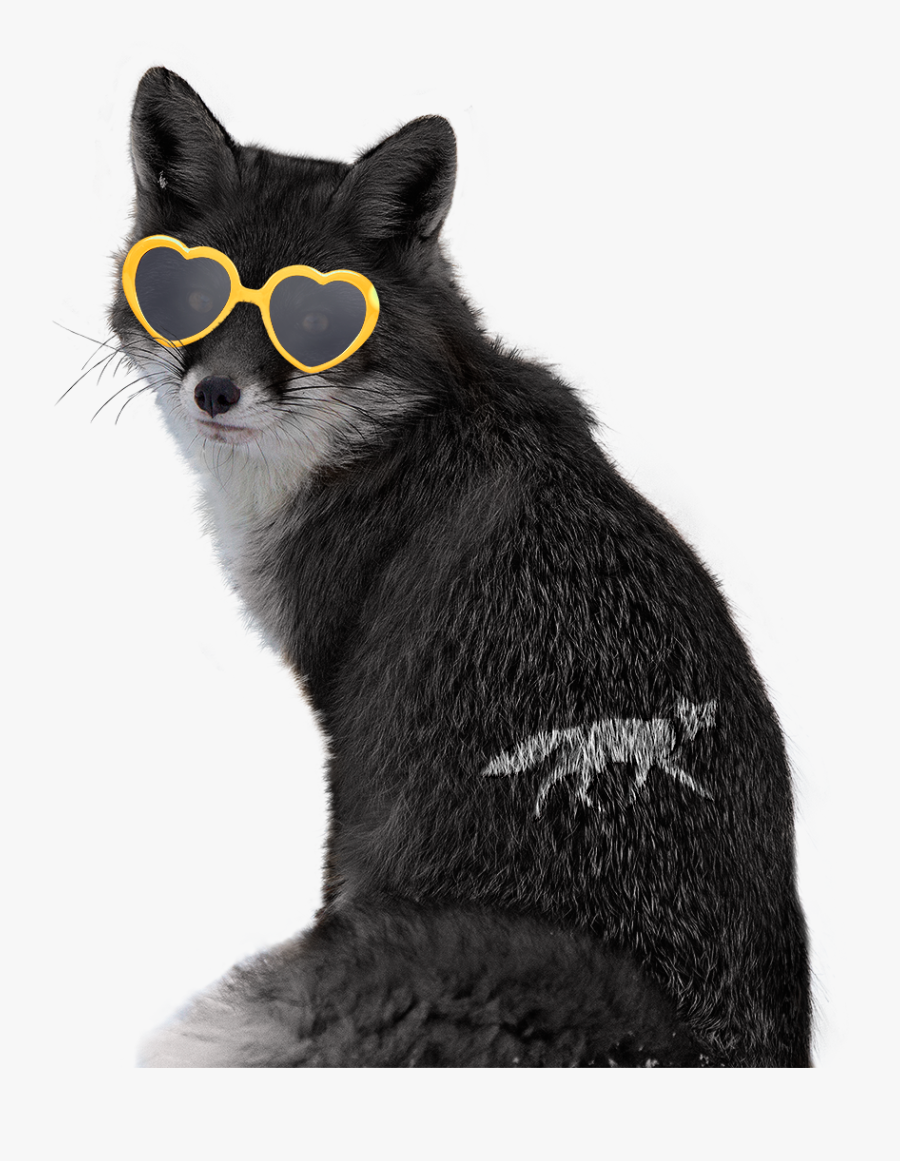 Transparent Fox Head Png - Black Fox Transparent , Free Transparent ...