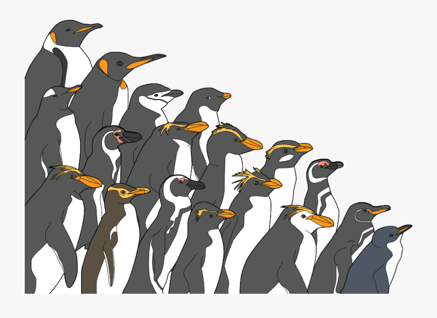 Nothreat - World Distribution Of Penguins , Free Transparent Clipart ...