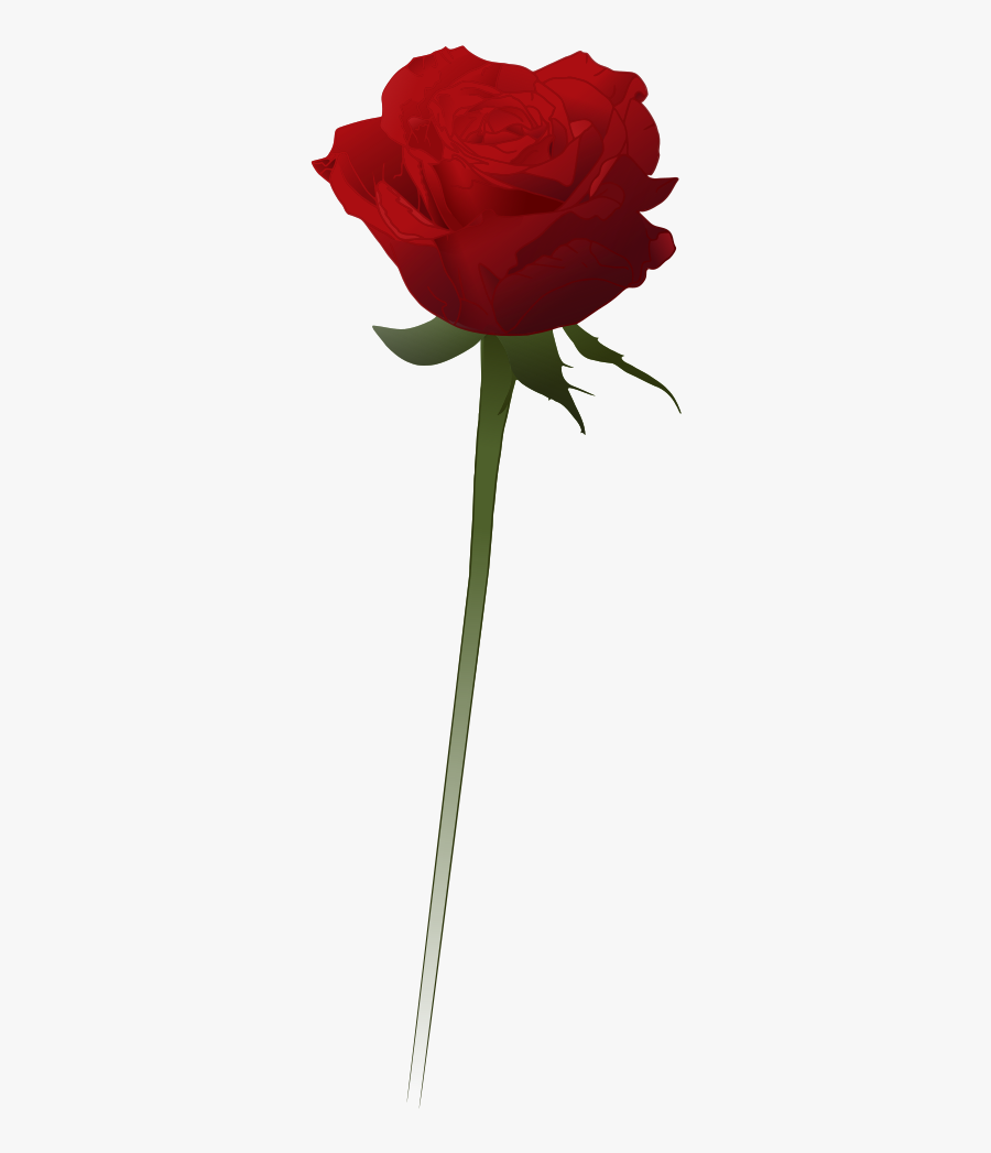 Red Rose Clipart Vector - Red Rose Vector Png , Free Transparent ...
